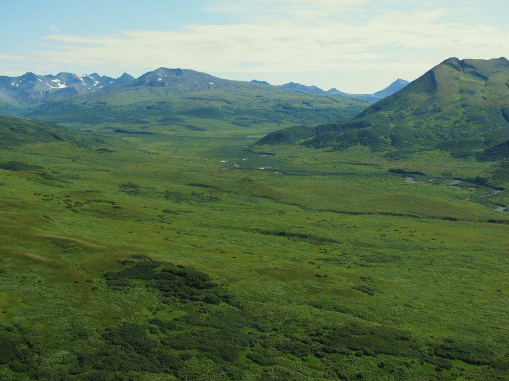 How to Buy Land in Alaska Remotely: A Step-by-Step Guide - Land Limited