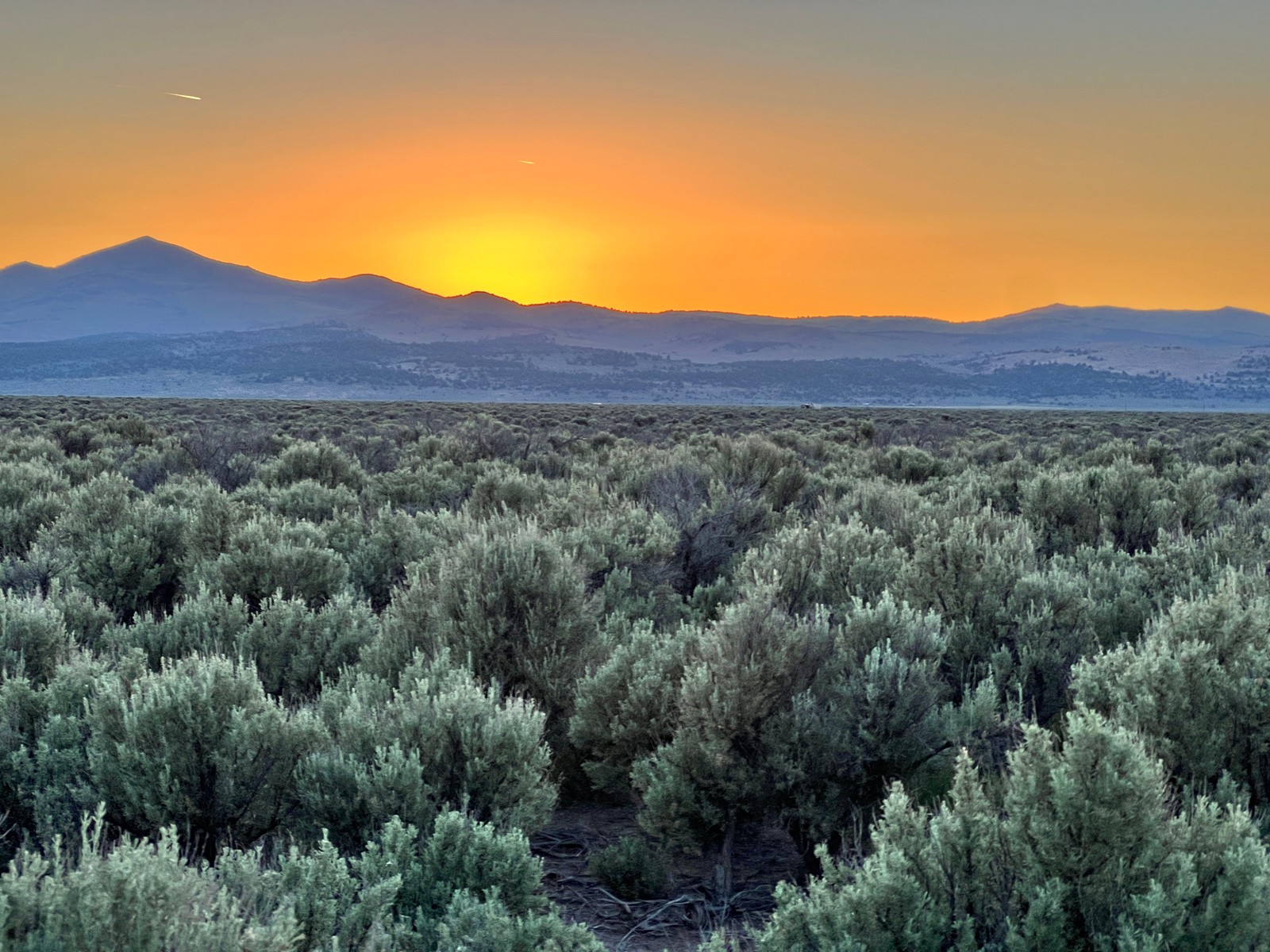 Top 10 Things to Do in Northern California: Why Buying Land in Modoc ...