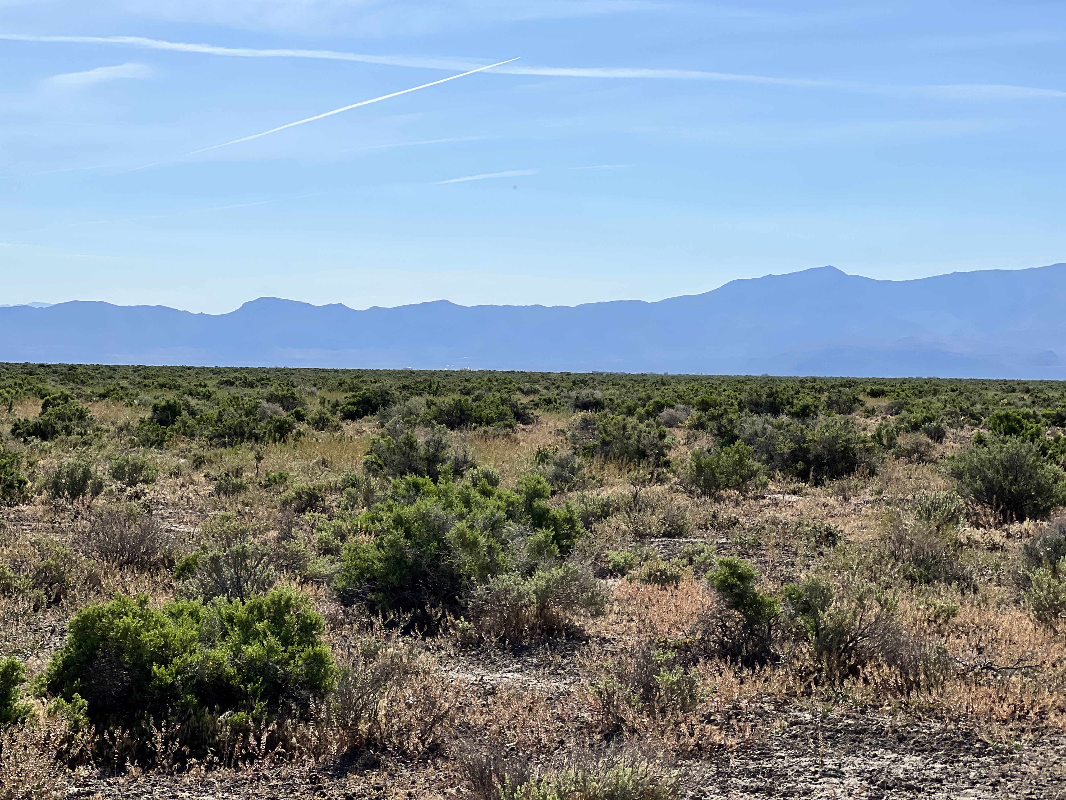 Top 10 Regions for Affordable Land in California Under $50K - Land Limited