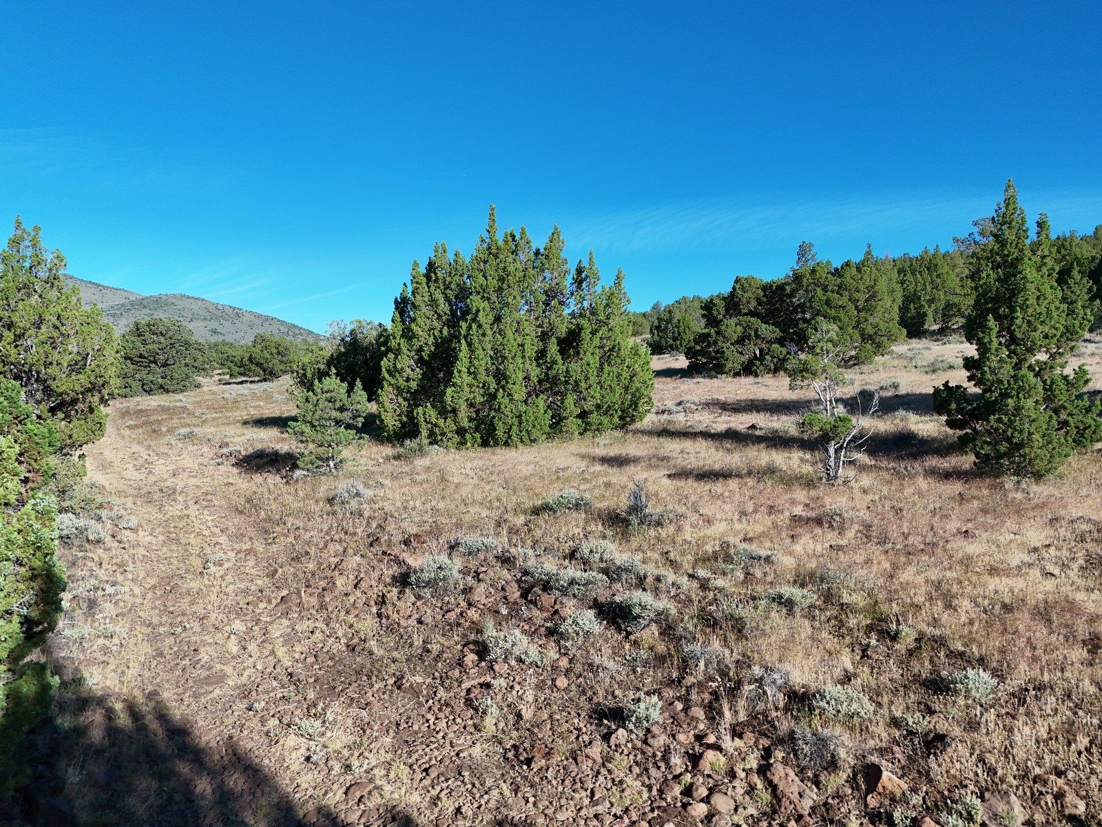 Emerging Land Hotspots: Inland Empire Development Potential - Land Limited