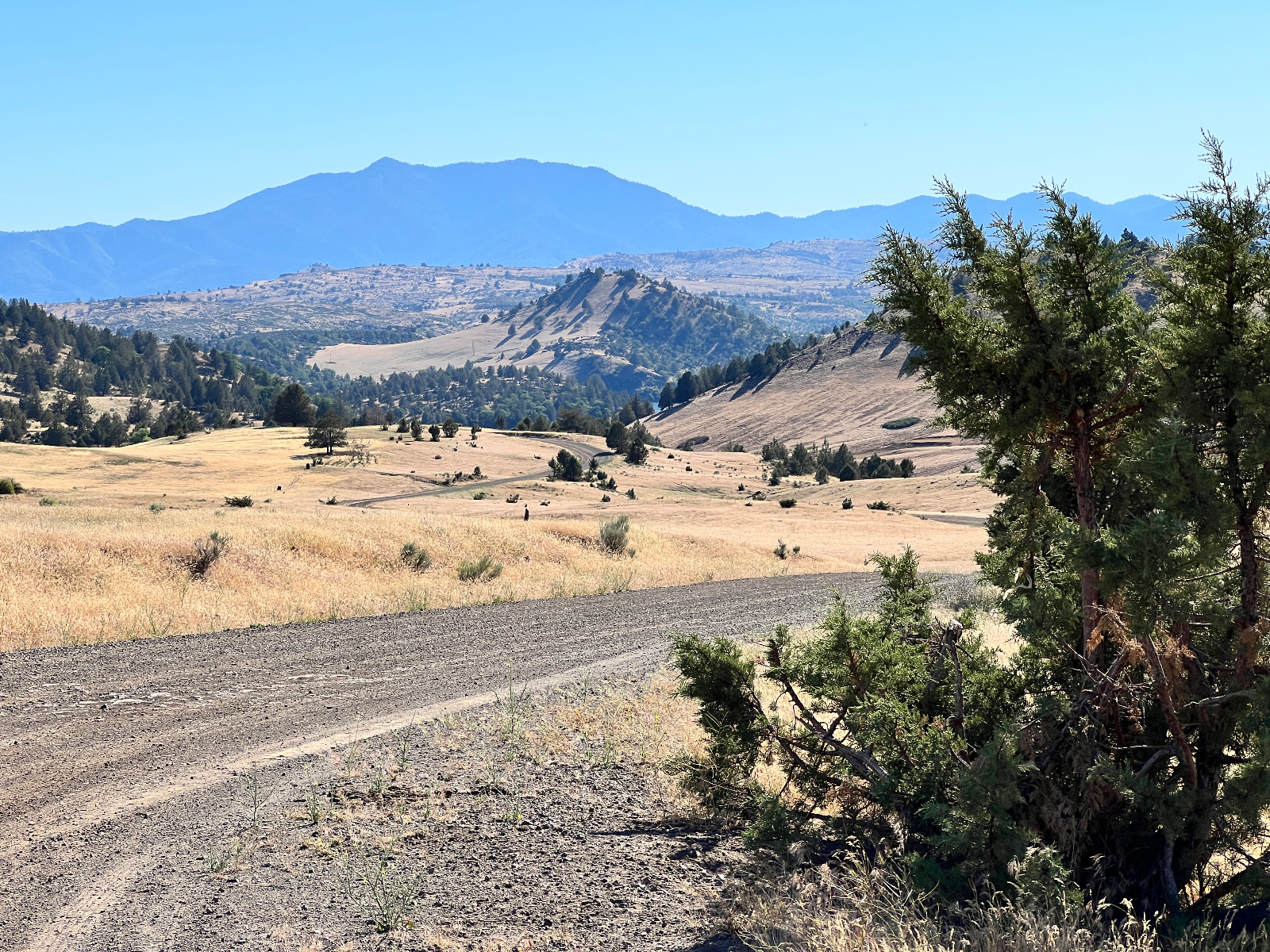 2.5-Acre Level Lot with Nice Views in Iron Gate Lake Estates, Siskiyou ...
