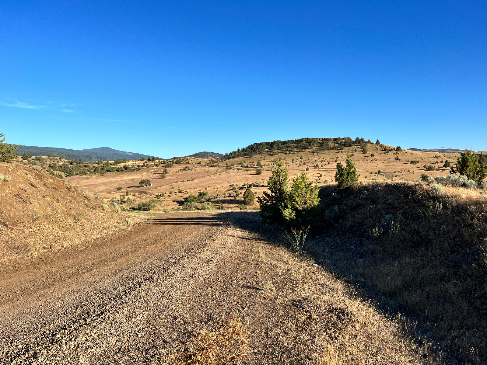 2.5-Acre Sloped Lot with Amazing Views in Iron Gate Lake Estates ...