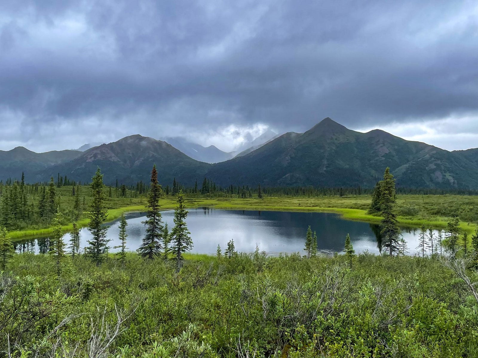 3.57 Acres Off-Grid Land Near Deadman Lake, Manley Hot Springs AK ...