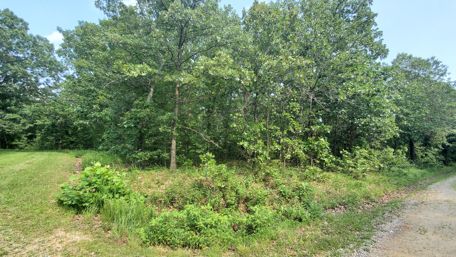 3+ Acre Missouri Land for Sale with Dual Road Frontage Near Lake of the ...