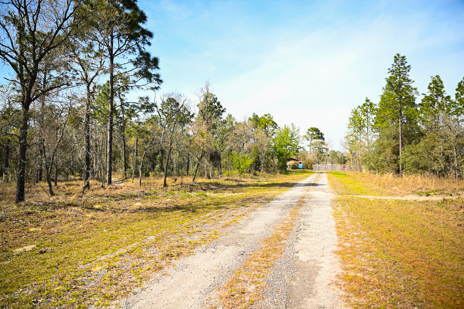 Florida Land for Sale by Owner | Quarter-Acre Build Site | Land Limited