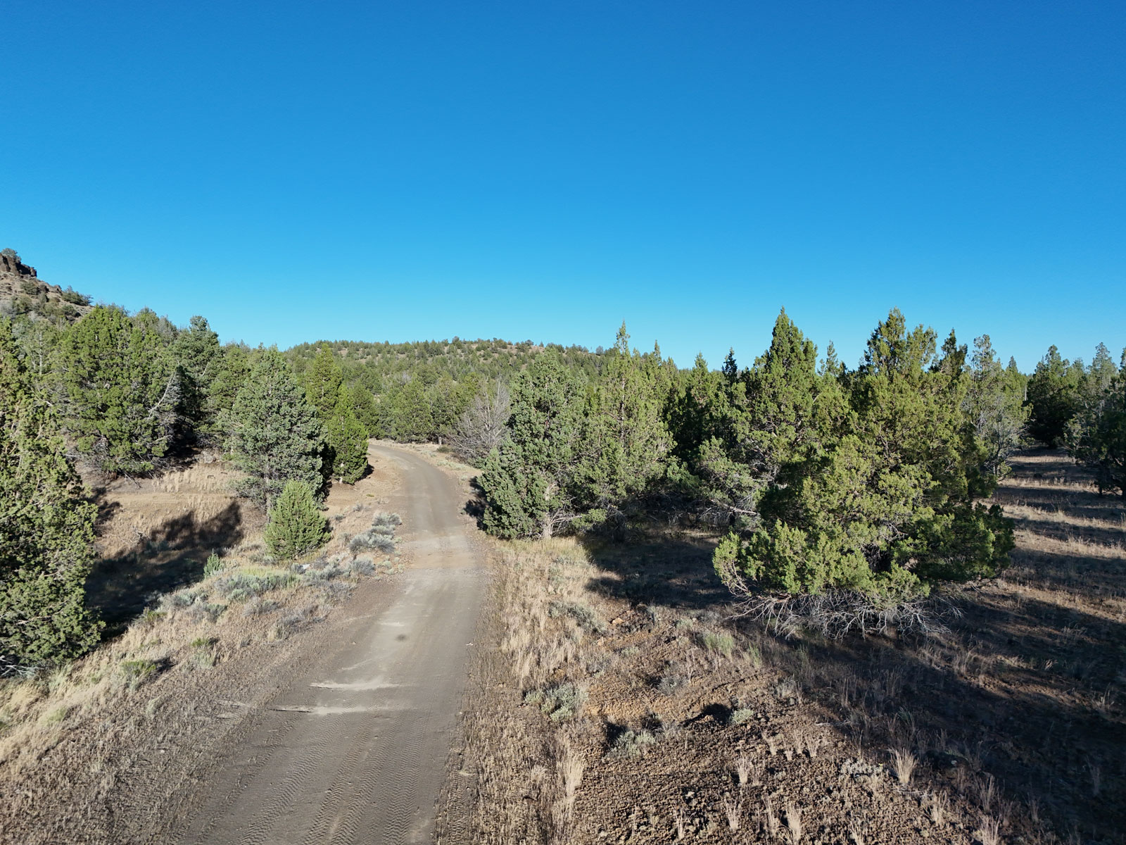 For Sale Wooded California Land for Sale, 67.75 Acres, County ...
