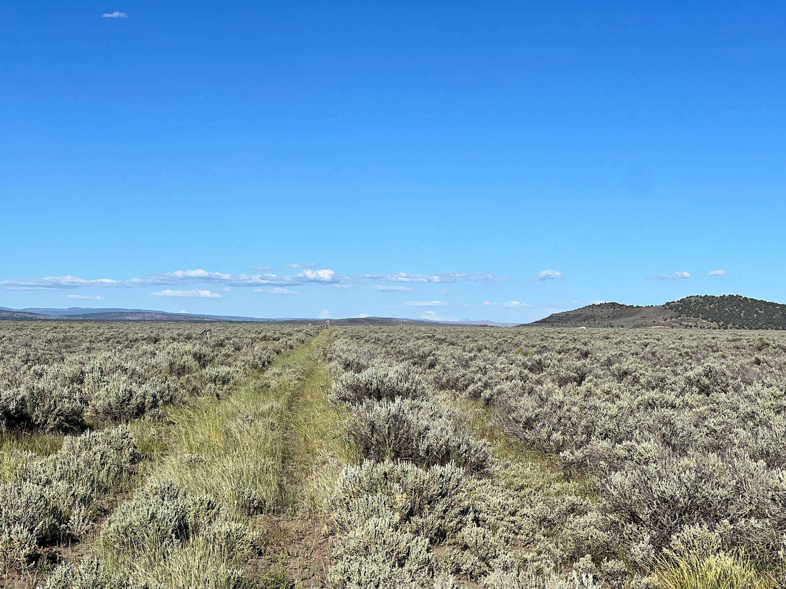 For Sale Large Property NE California Termo CA - Lassen County $29,900.00