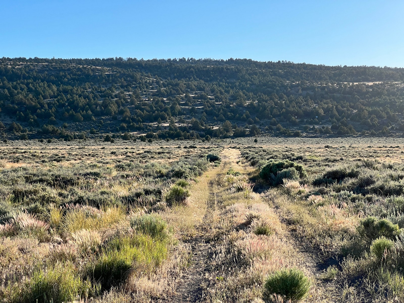 For Sale Quiet Area of Moon Valley Ranches Termo CA - Lassen County ...