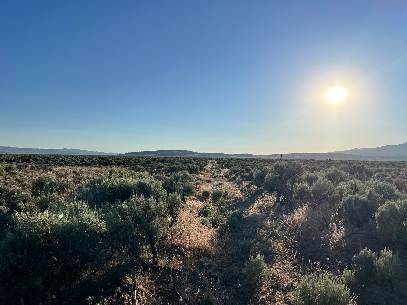 For Sale Three Lot Combo Deal Ravendale CA - Lassen County $39,900.00
