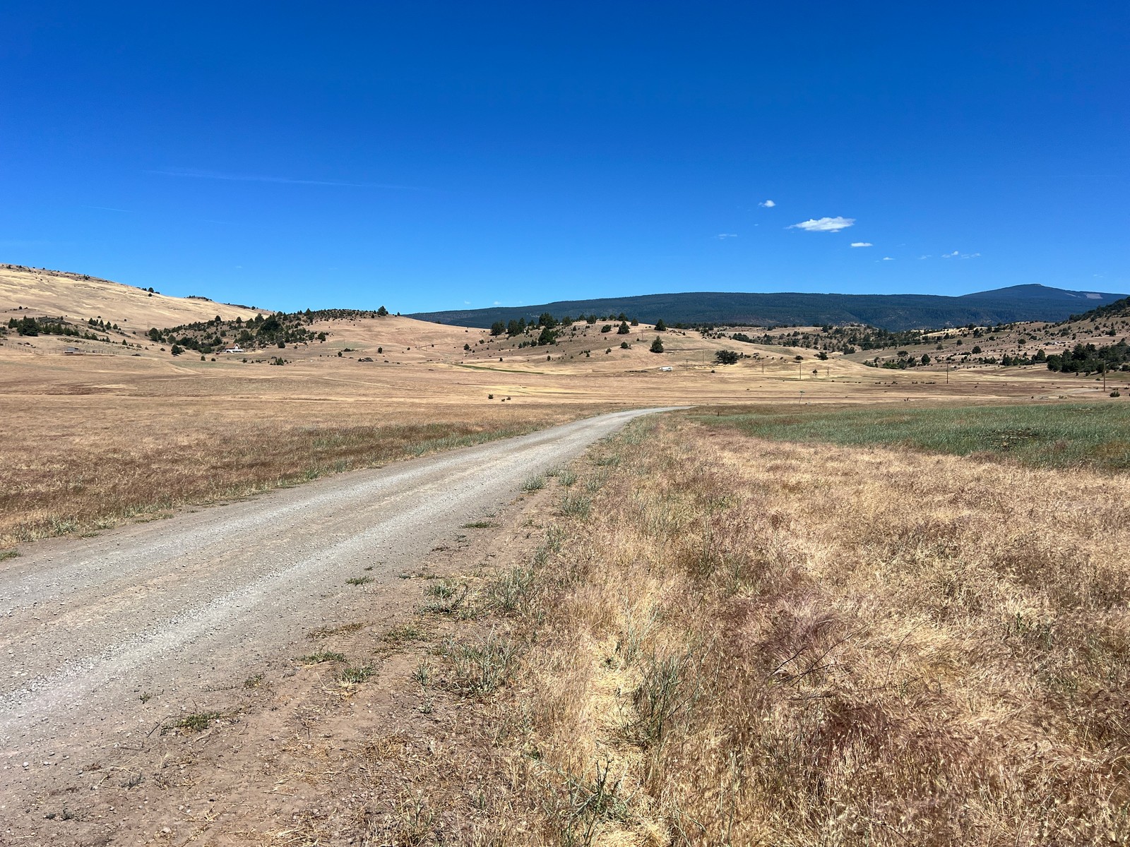Scenic 2.7 Acres Near Klamath River & Iron Gate – Ultimate Outdoor Retreat