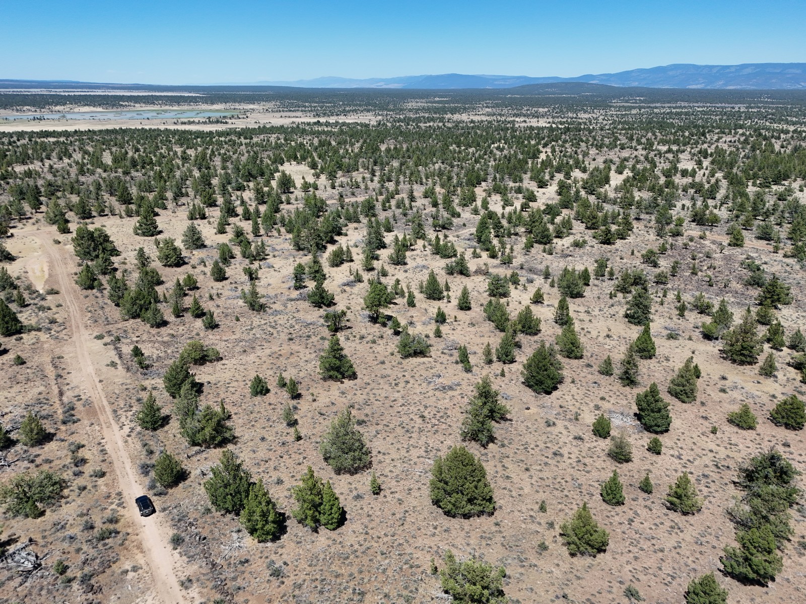 1.47-Acre Mostly Level Lot with Scattered Trees in Modoc Estates, Modoc ...