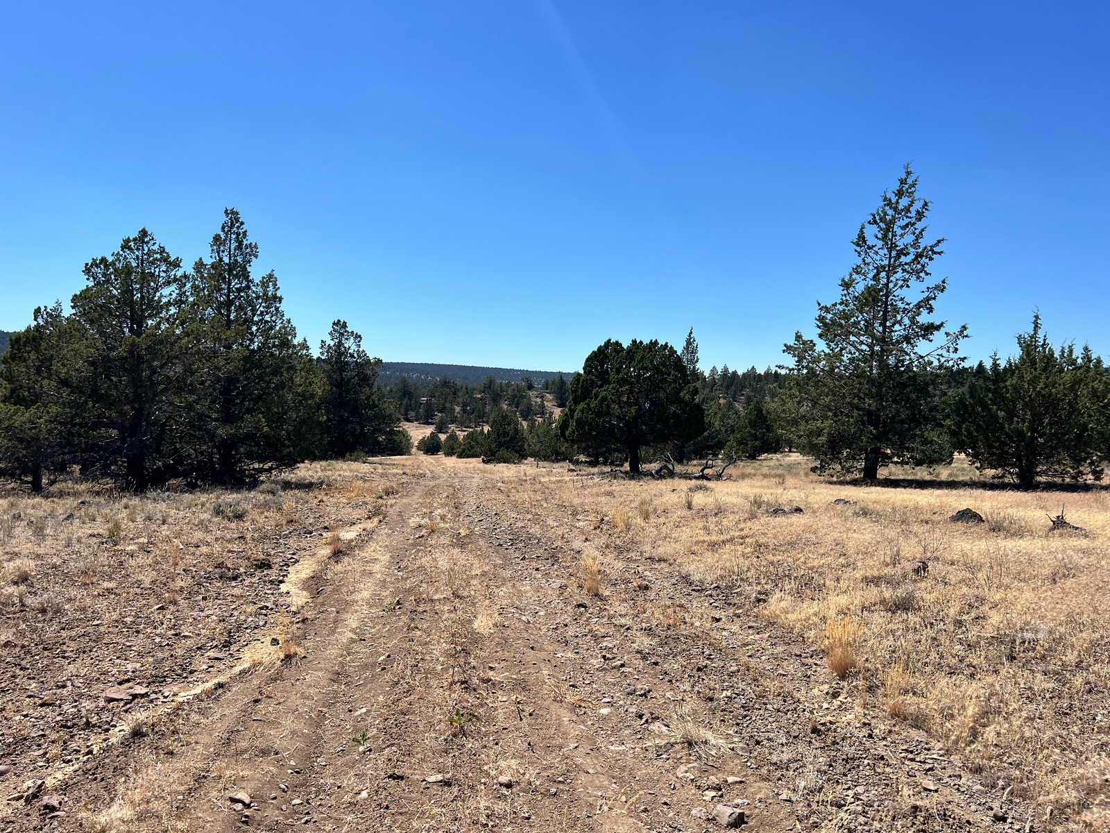 2.94-Acre Dual Lots in Modoc Estates, Modoc County, CA | Alturas Forest ...