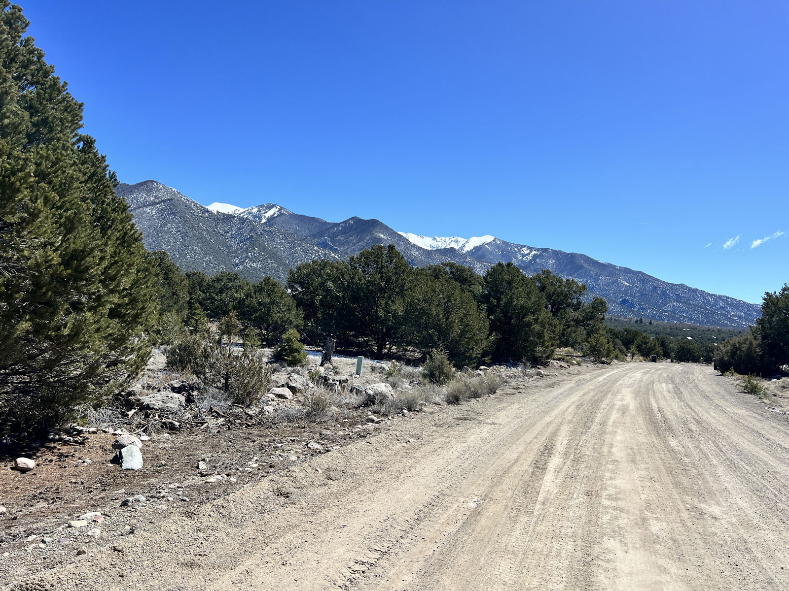 For Sale Wilderness Property with Low Lying Trees Crestone CO ...